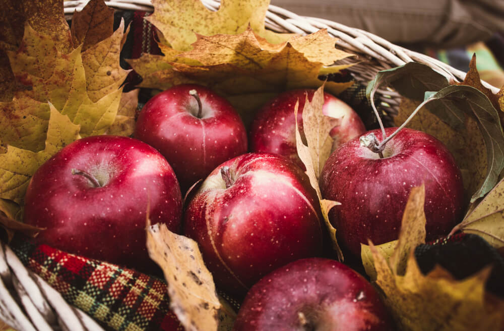Fall Activities in Wisconsin | Visit Bayfield | Old Rittenhouse Inn